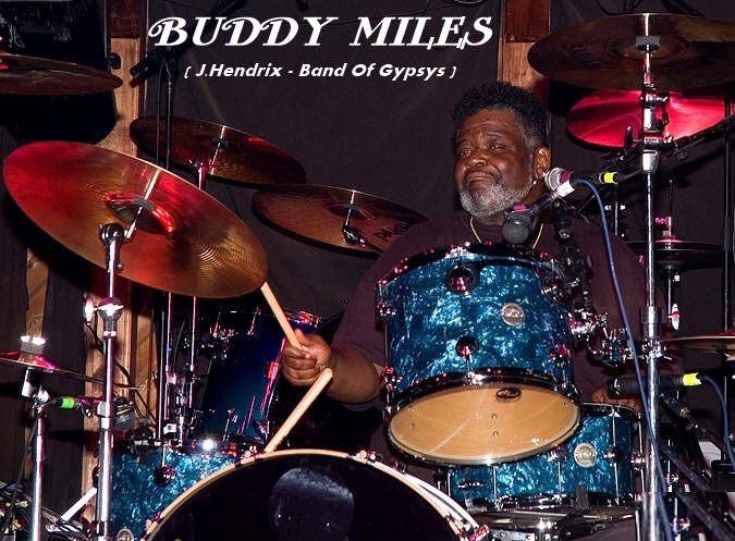 DW DRUMS SET :: Robert-bob-steigerwald